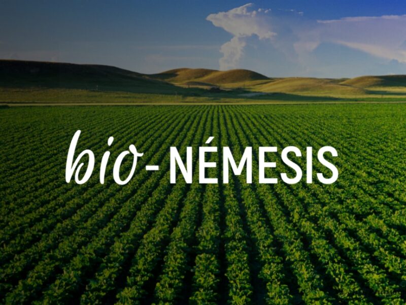 Bio-Némesis® (All Natural) – MegaNaturales